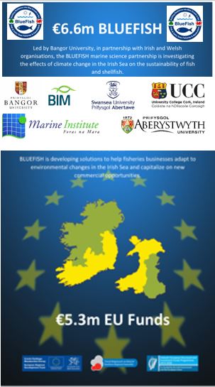 BIM - BlueFish Project