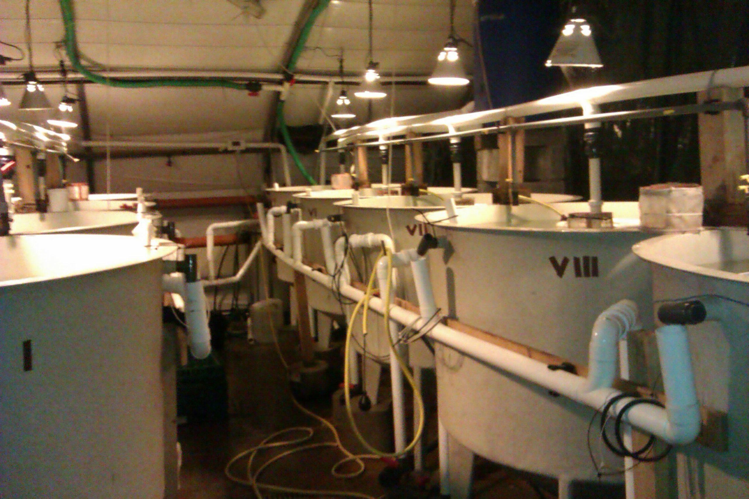 BIM - Recirculation and Depuration Technology