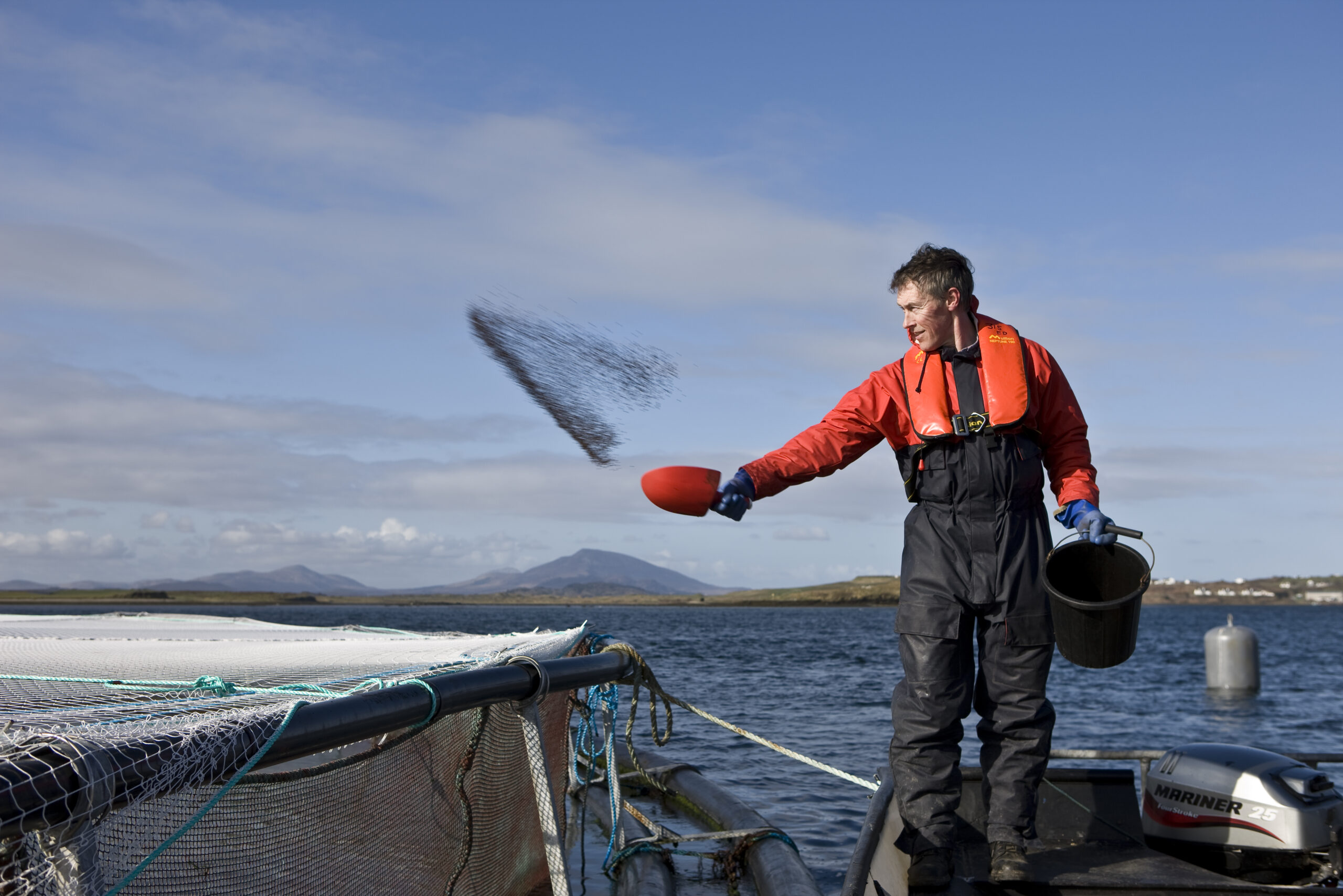 BIM - New Fish Health & Welfare Toolkit available for Aquaculture ...