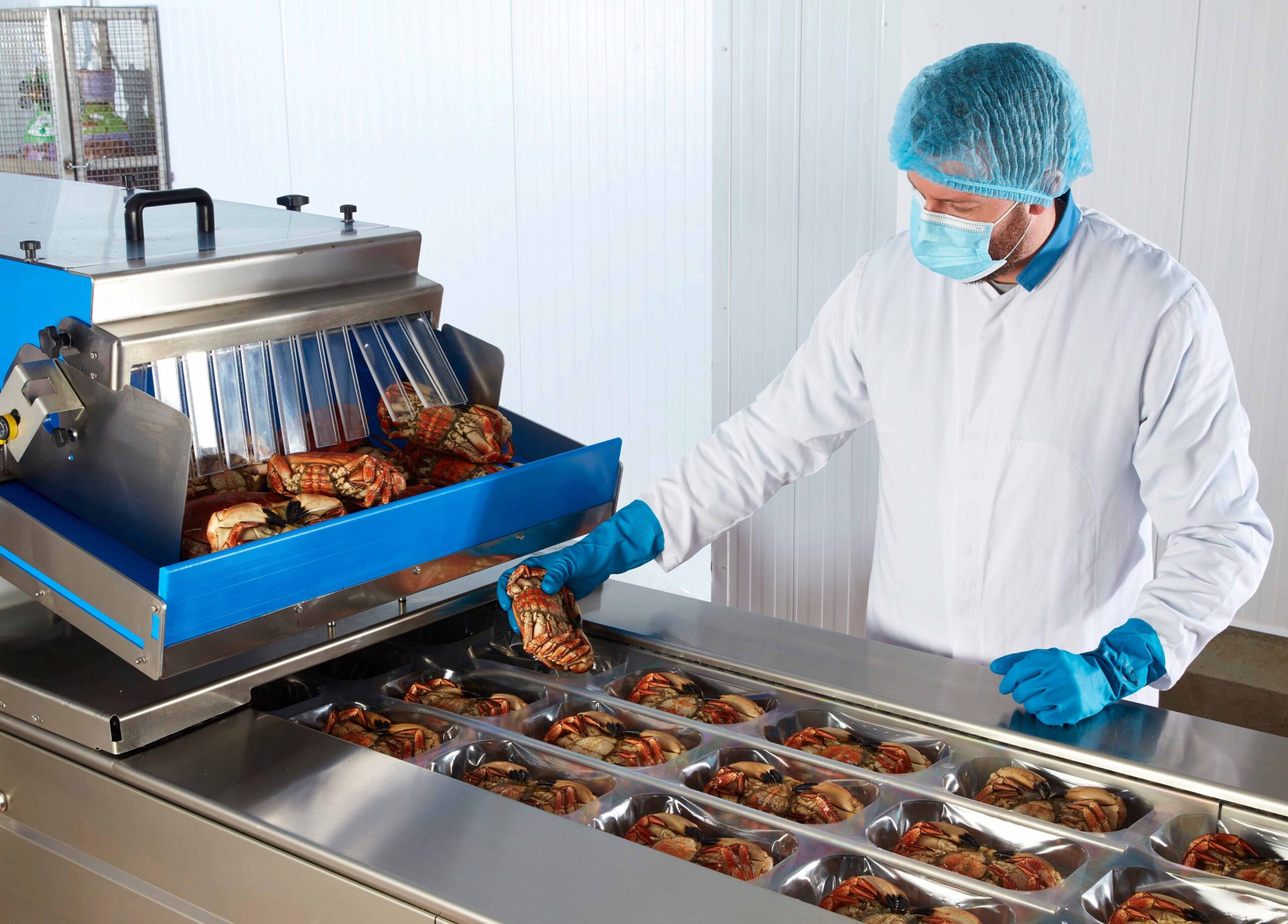 BIM - Supporting the Irish Seafood Industry